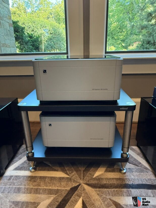 PS Audio BHK M300 Mono Amps Photo #5827632 - US Audio Mart