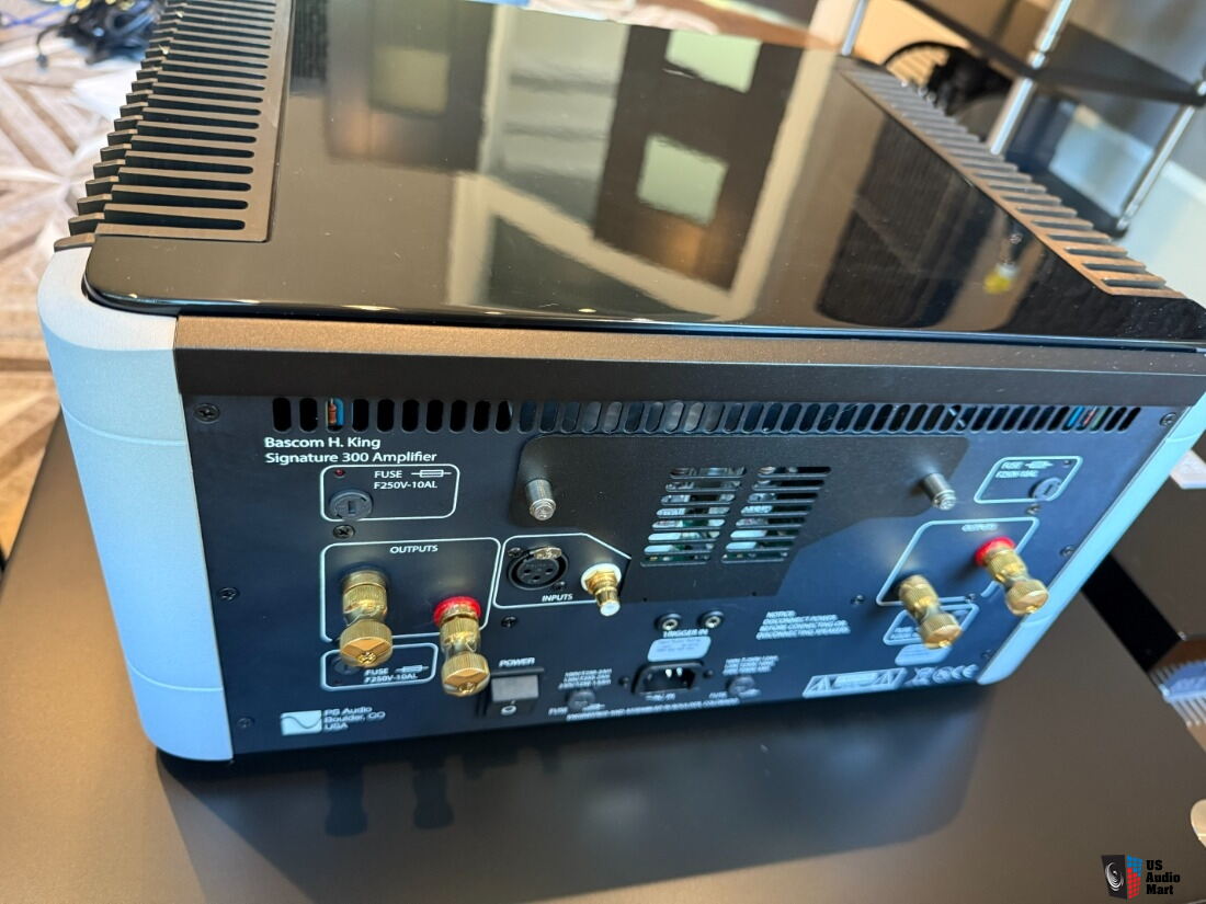 PS Audio BHK M300 Mono Amps Photo #5827631 - US Audio Mart
