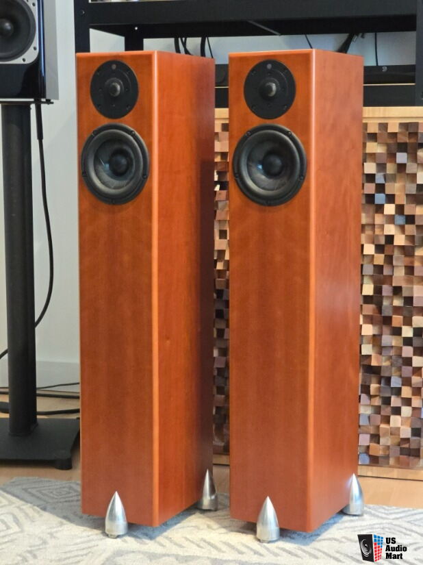 Totem Acoustic Hawk Floorstanding Loudspeakers For Sale - US Audio Mart