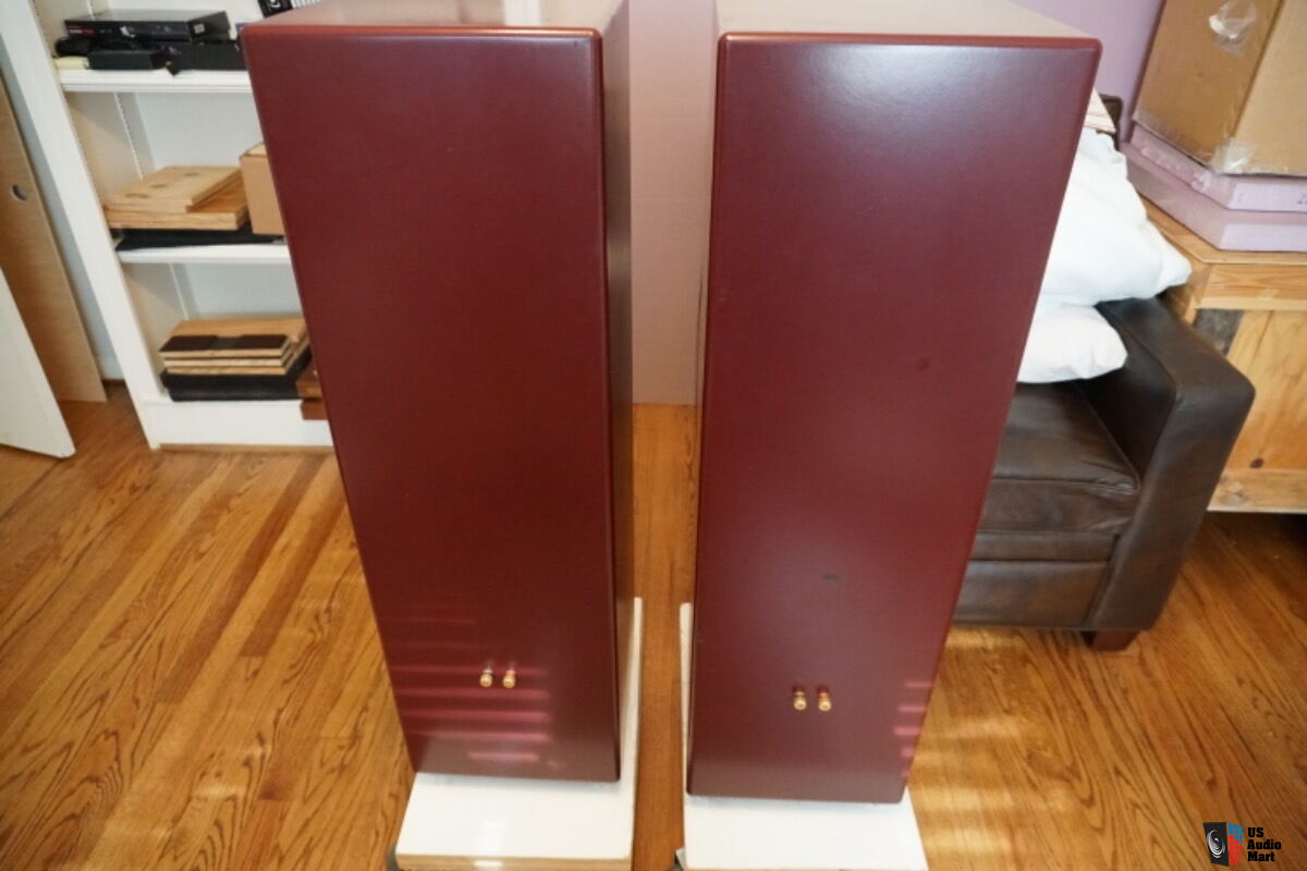 Tekton Lore Photo #5829476 - US Audio Mart