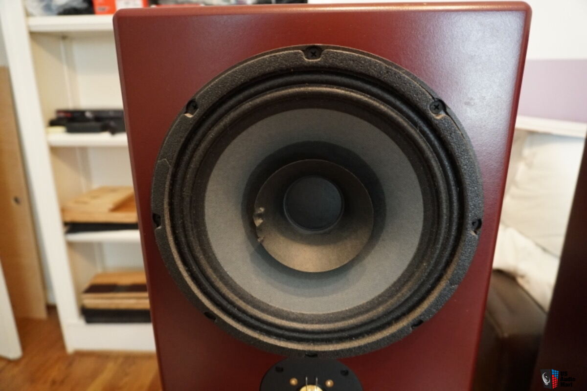 Tekton Lore Photo #5829473 - US Audio Mart
