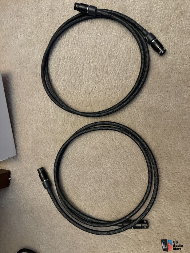 Innuos Umbilical cords 1.5m pair for Statement Server made by The Chord ...