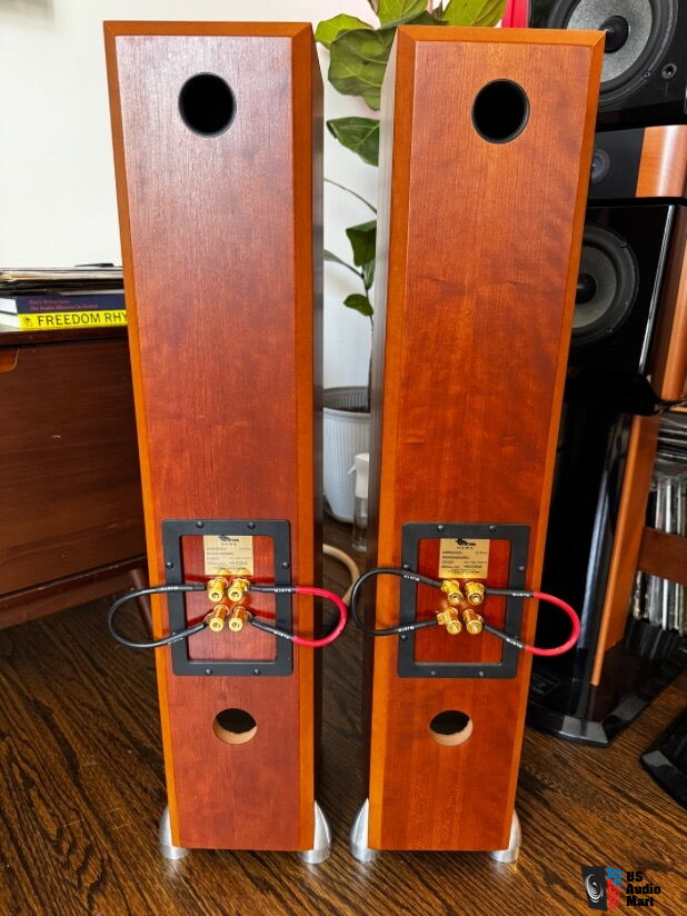 Totem Hawk Floor Standing Speakers (Cherry) Photo #5836557 - US Audio Mart