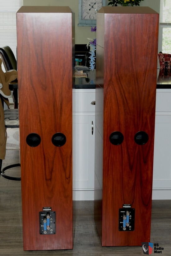 Legacy Audio Focus SE (REDUCED) Photo #5837489 - US Audio Mart