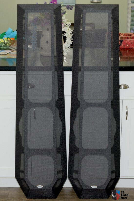 Legacy Audio Focus SE (REDUCED) Photo #5837486 - US Audio Mart
