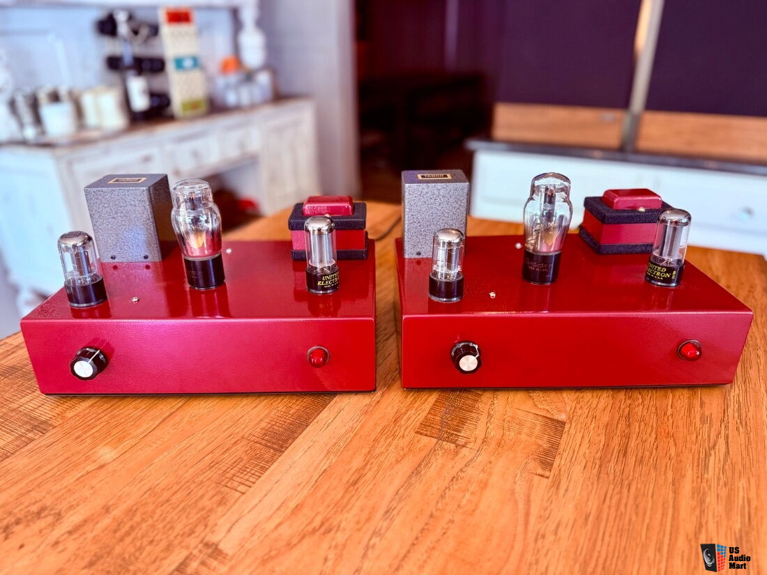 Alan Eaton 45 Tube Mono Blocks Photo #5840822 - US Audio Mart