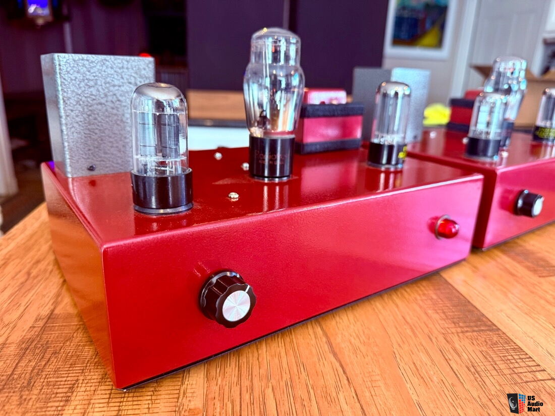 Alan Eaton 45 Tube Mono Blocks Photo #5840824 - US Audio Mart