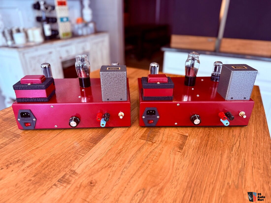 Alan Eaton 45 Tube Mono Blocks Photo #5840822 - US Audio Mart