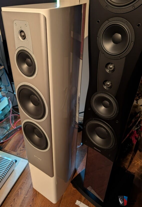 Dynaudio Contour 60s - EXCELLENT Condition - $10,000 msrp, Now $5975 ...