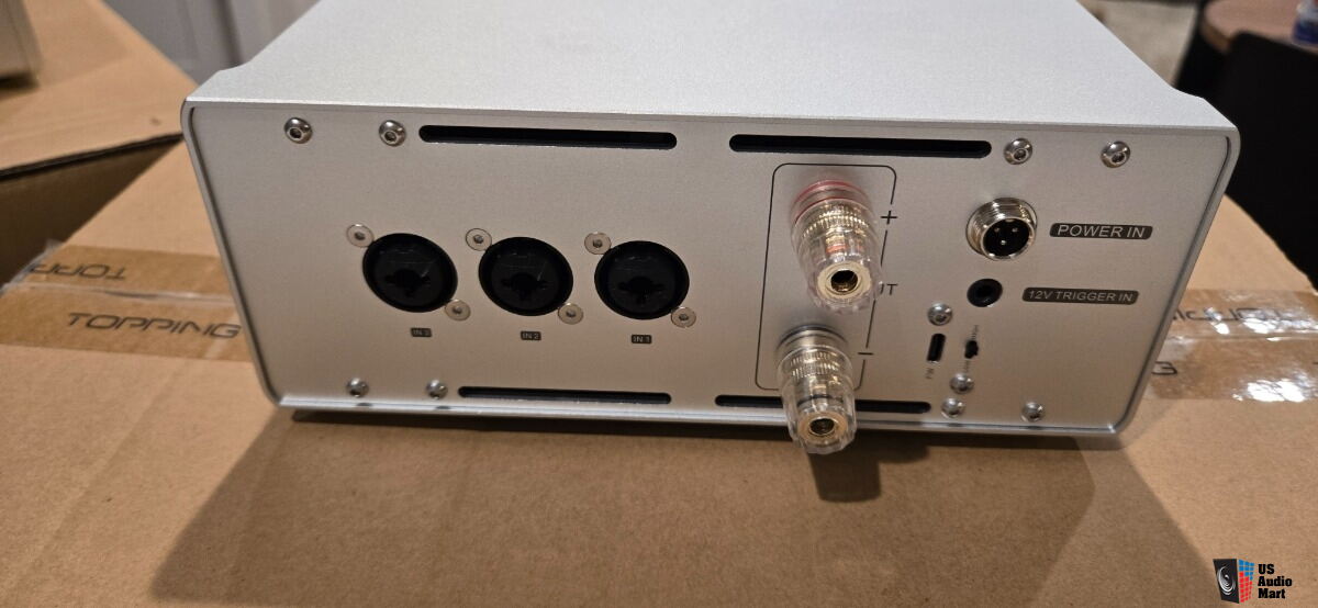 Mint Pair Topping B200 Monoblocks Photo #5845971 - US Audio Mart