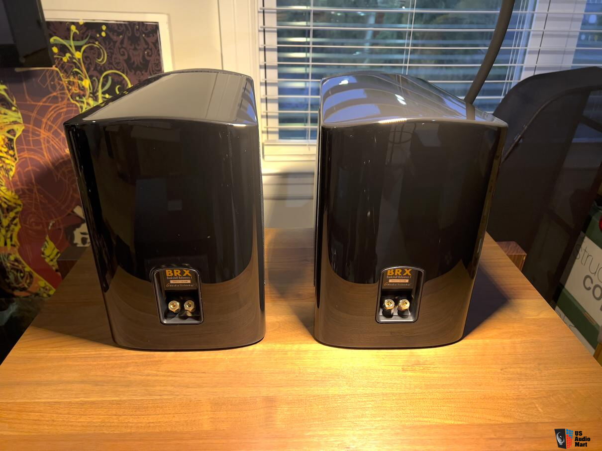 GoldenEar BRX bookshelf speakers EXCELLENT Photo #5854818 - US Audio Mart