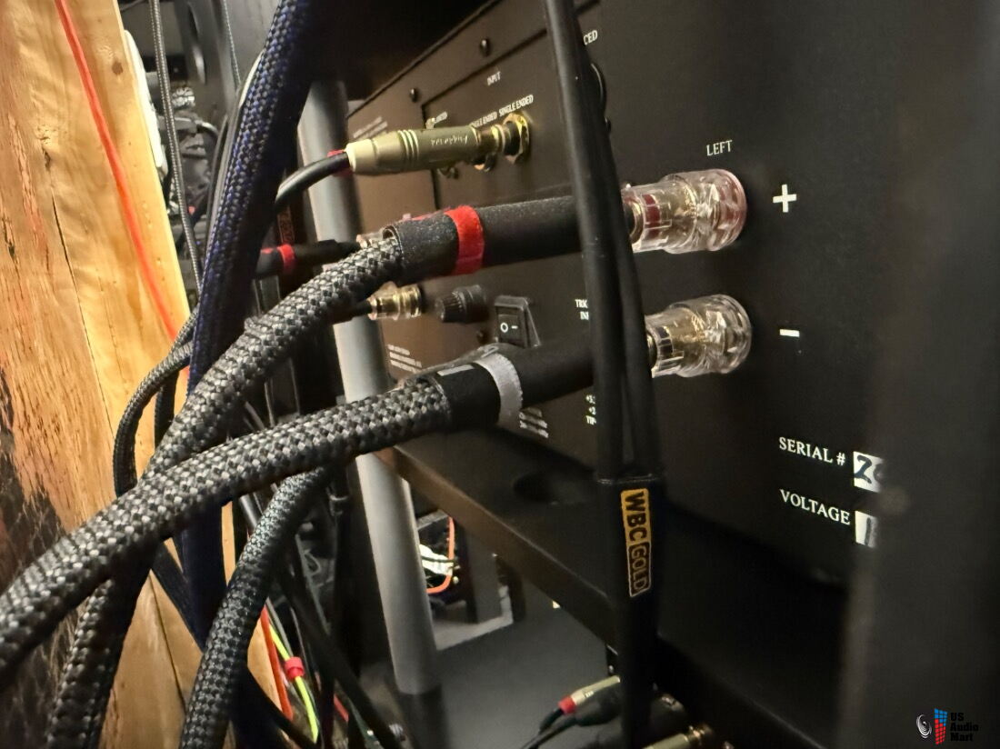 Cary Audio SA-200 ES Power Amplifier Photo #5860481 - US Audio Mart