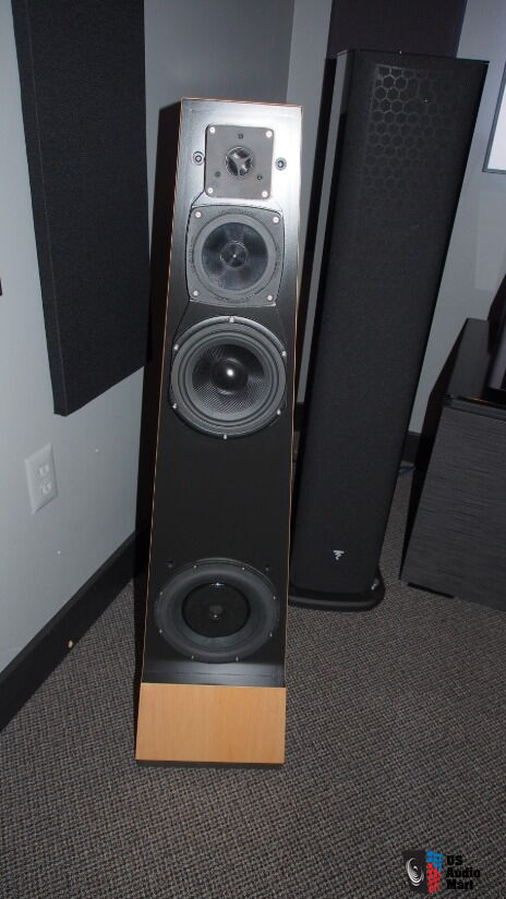 Vandersteen Treo CT Floorstanding Speakers; Pair Maple Photo #5860577 ...