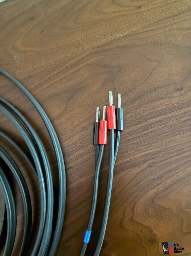 Naim Nac A5 cable 12ft pair For Sale - US Audio Mart