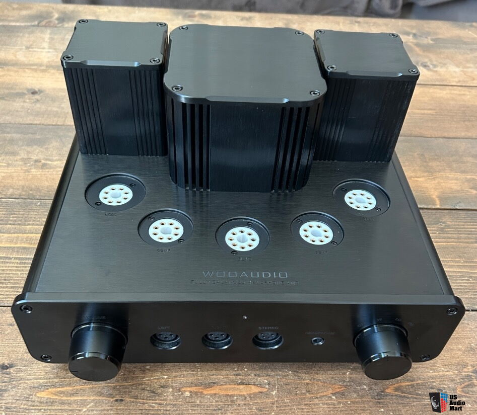 Woo Audio WA22 Balanced Tube Amplifier Like New - NOS RCA Tubes Photo ...