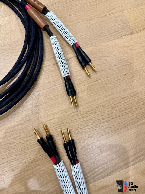 Audience Front Row Speaker Cables - 3.0m bananas Photo #5867325 - US ...