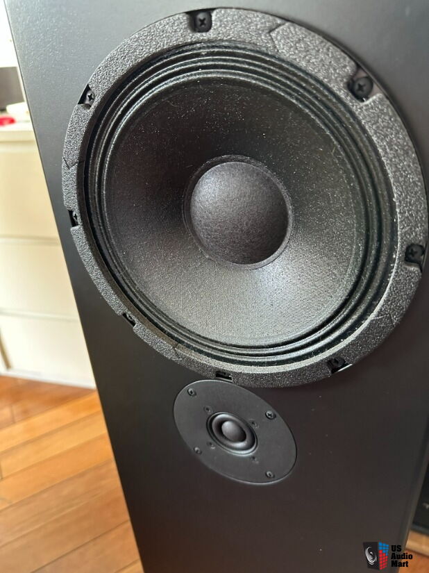 Tekton Design Lore Reference Loudspeaker Photo #5872327 - US Audio Mart