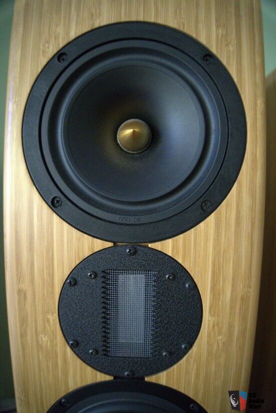 ASCEND ACOUSTICS Sierra Towers (Pair) w/ RAAL Ribbon Tweeters Photo ...