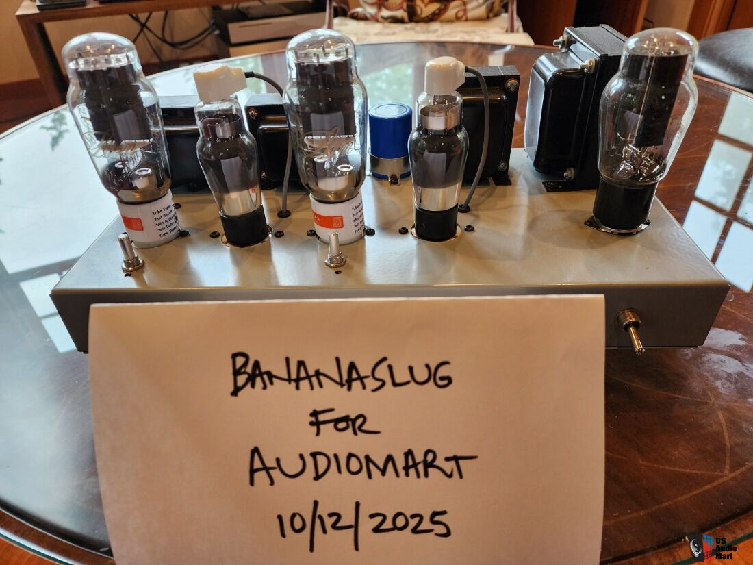 Tube Audio Lab 2A3 SE Amp with 6C6 drivers - SALE PENDING Photo ...