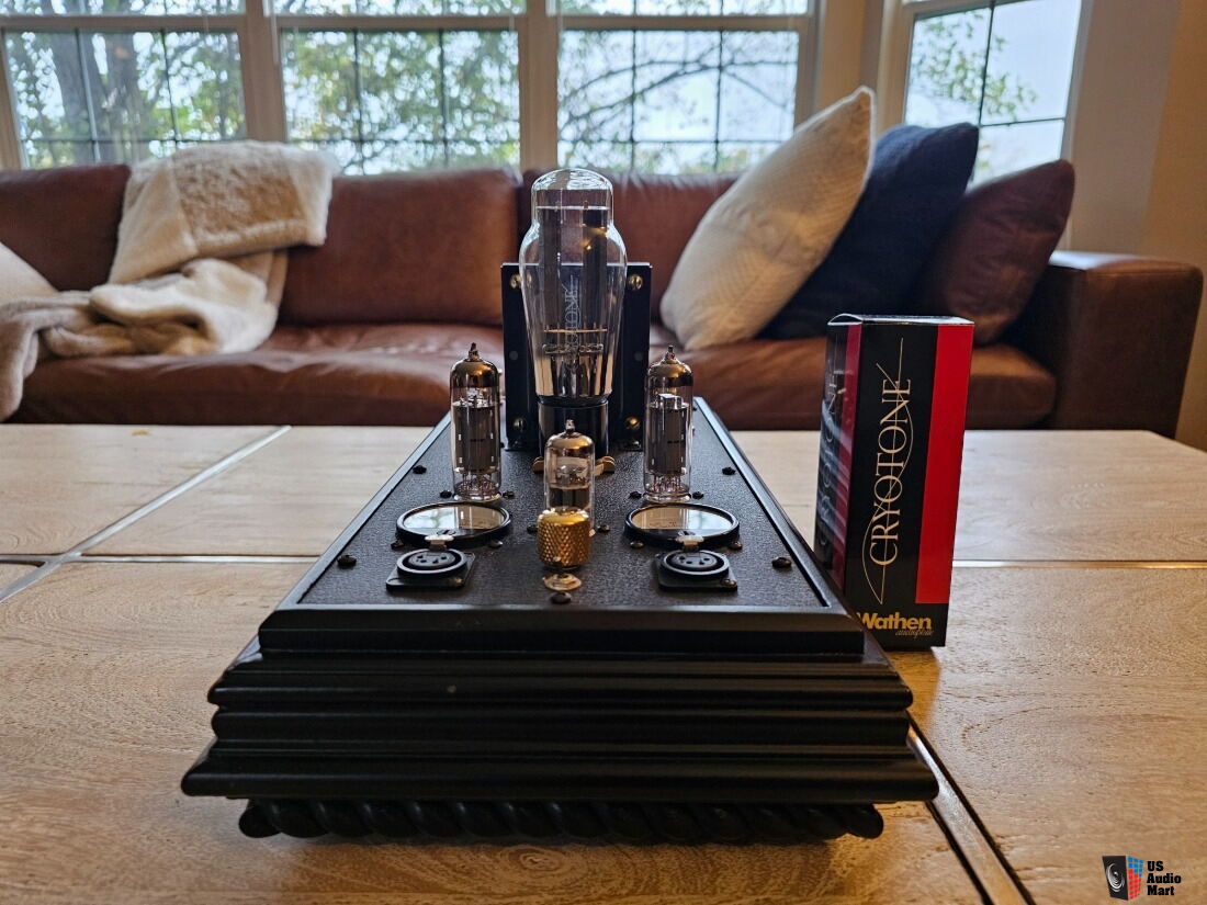 Decware Taboo MK3 with Wathen Cryotone Tube Photo #5908263 - US Audio Mart
