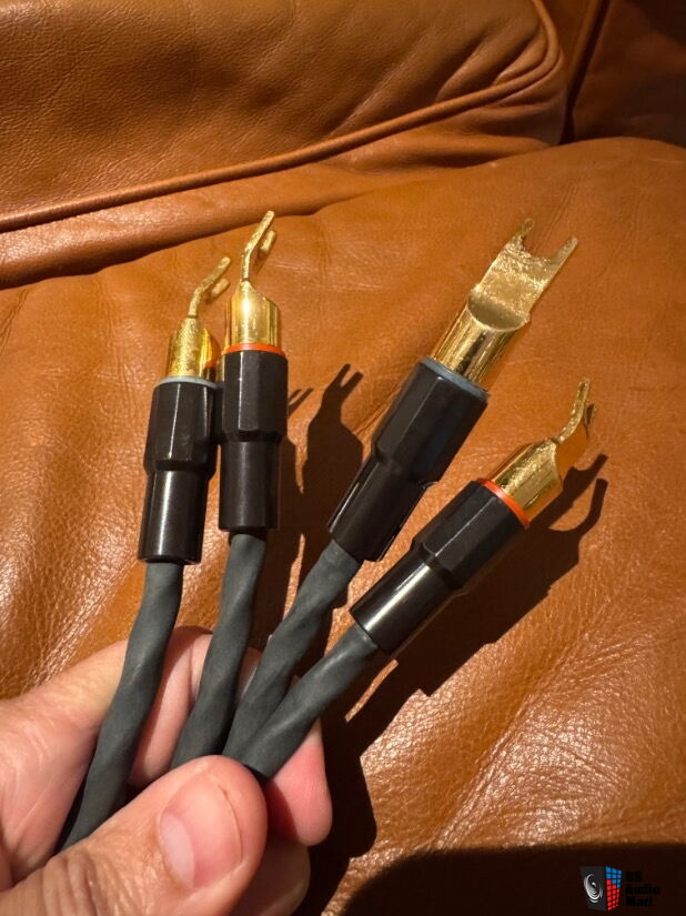 Transparent Audio MusicWave REFERENCE speaker cables (pair) - 10 feet ...