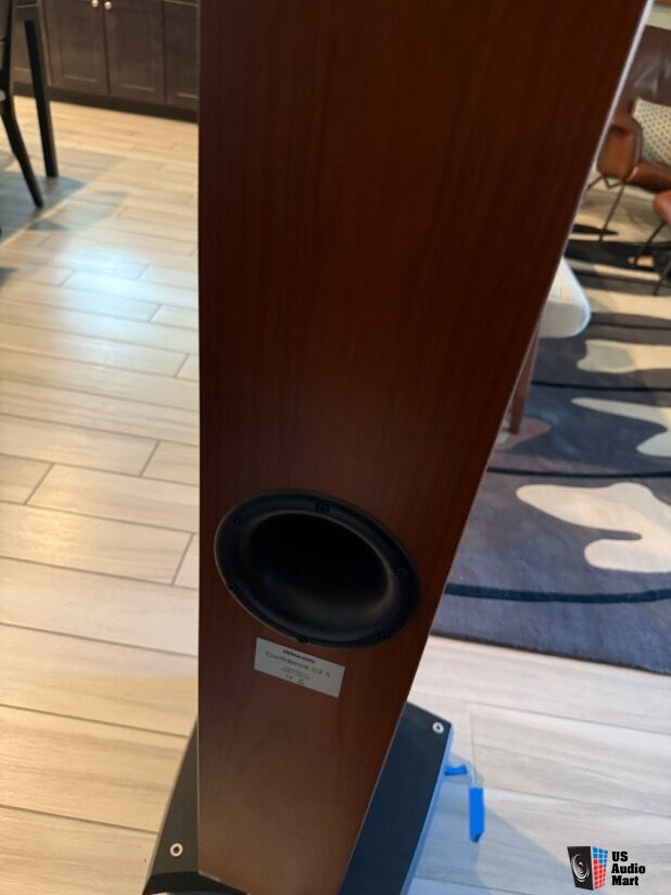 Dynaudio Confidence C2 II in Cherry *Mint **SALE PENDING Photo #5926219 ...