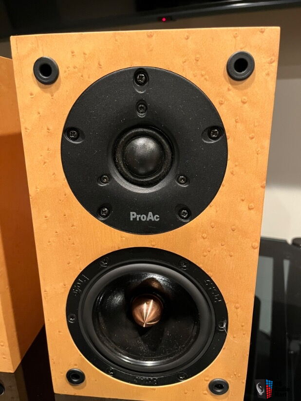 ProAc Tablette Reference 8 Signatures Photo #5927976 - US Audio Mart