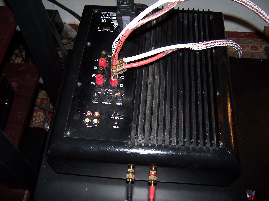 Custom Open Baffle Signature Series Speakers With Bass Amplifiers Photo ...