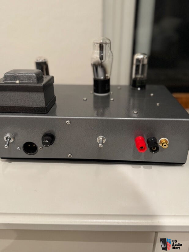 Pair of Alan Eaton 45 SET monoblock Amplifiers Photo #5932028 - US ...