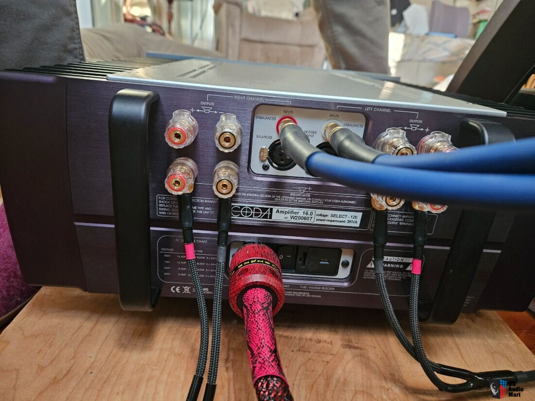 Coda 16.0 Amplifier, 100 watts of Class A power Photo #5933720 - US ...
