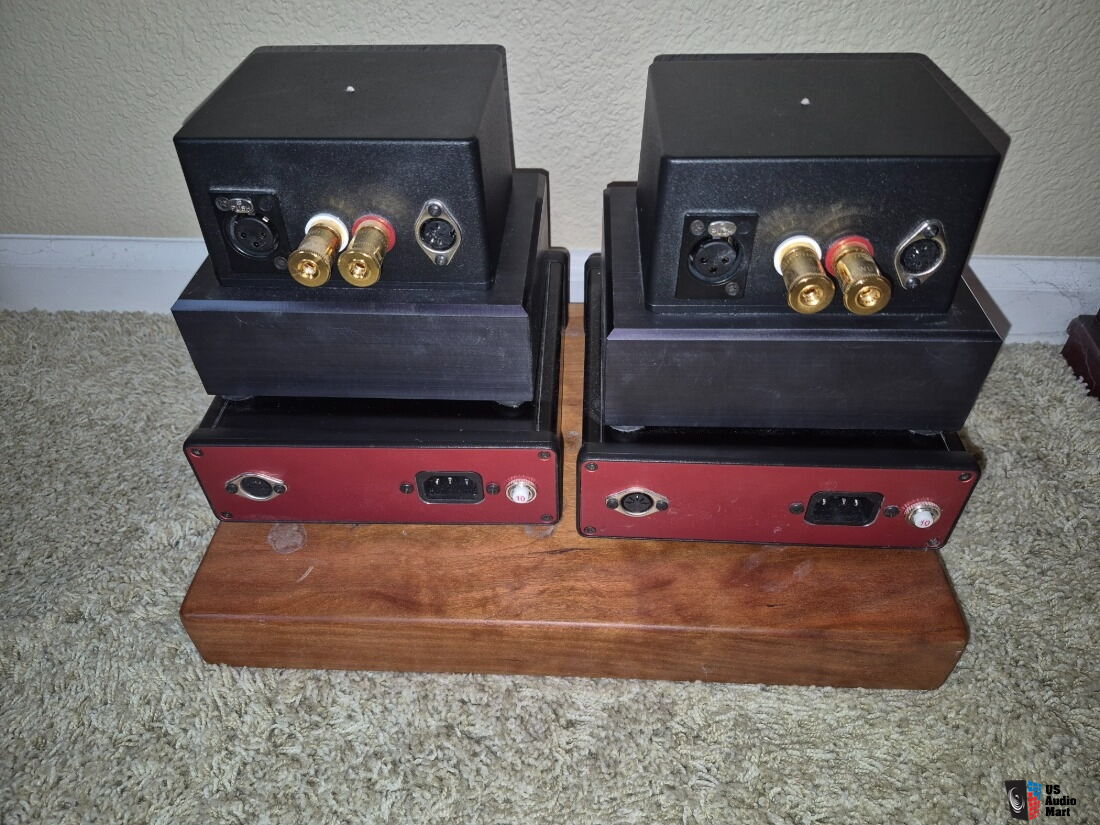 Digital Amp Company Golden Cherry amps (with rare factory linear power ...