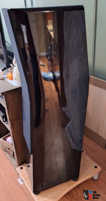 SVS Ultra Evolution Pinnacle Towers. Priced to move! Photo #5941544 ...