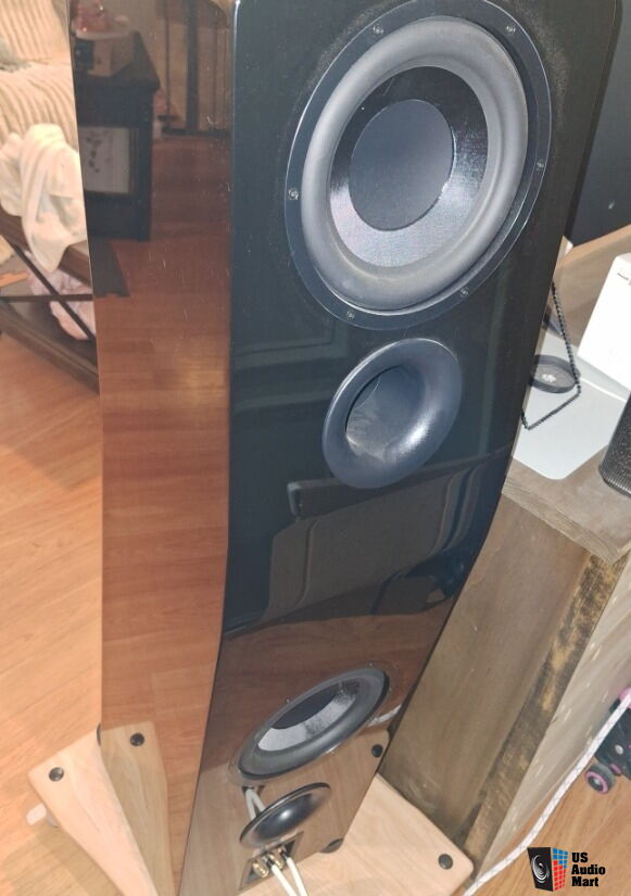 SVS Ultra Evolution Pinnacle Towers. Priced to move! Photo #5941544 ...