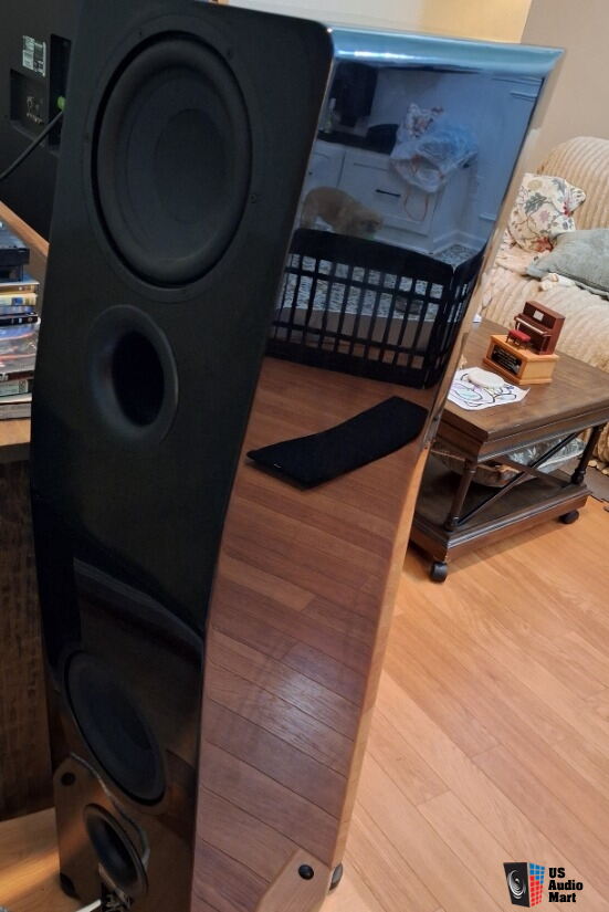 SVS Ultra Evolution Pinnacle Towers. Priced to move! Photo #5941544 ...