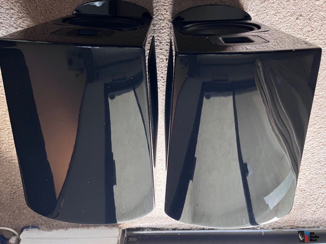 Goldenear BRX Photo #5943239 - US Audio Mart