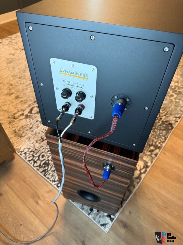 Dynamikks Aton 10 DC Speakers Photo #5945580 - US Audio Mart