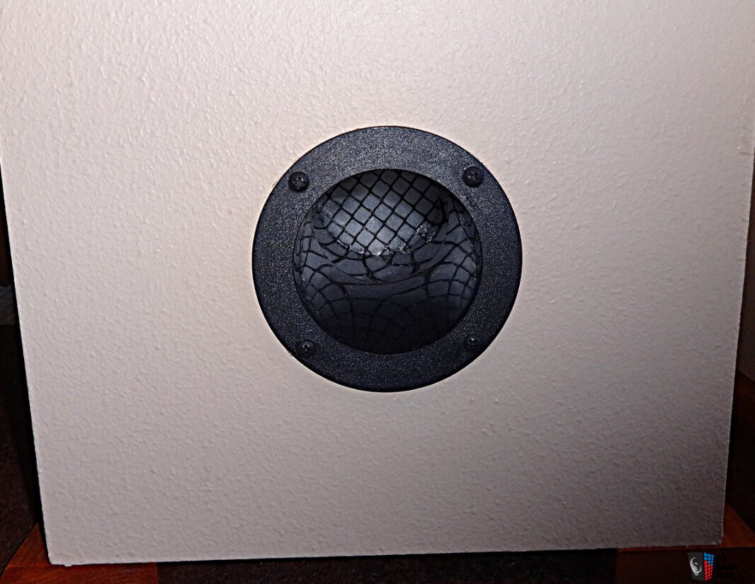 Dynamic Innovation 2-tone Racetrack Photo #5946123 - US Audio Mart