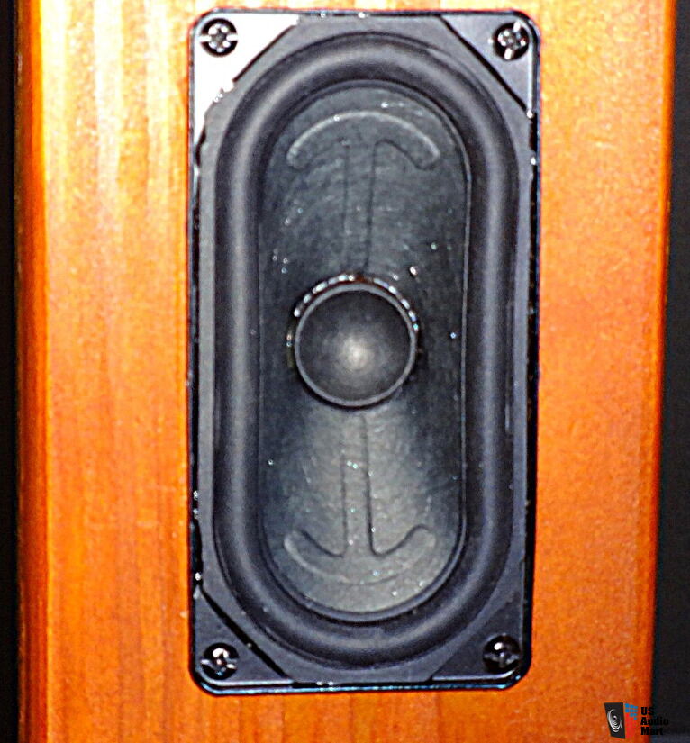 Dynamic Innovation 2-tone Racetrack Photo #5946124 - US Audio Mart