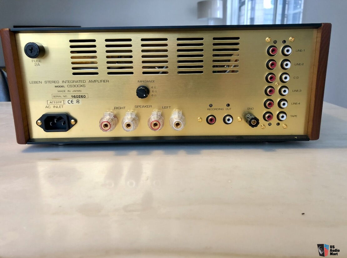 Leben CS-300x Photo #5947120 - US Audio Mart