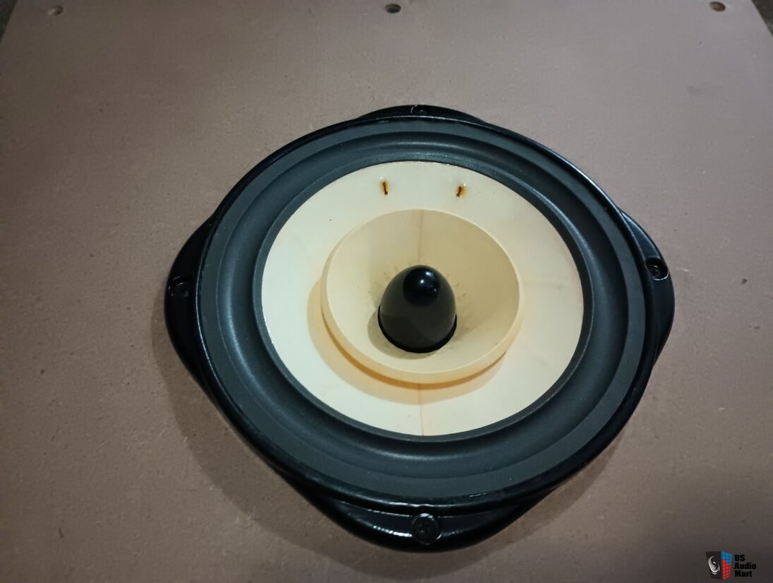 freshly restored Lowther PM2a 8" full range drivers Photo #5951745 - US ...