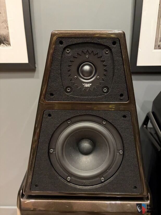 Wilson Sasha DAW Loudspeakers Photo #5963898 - US Audio Mart