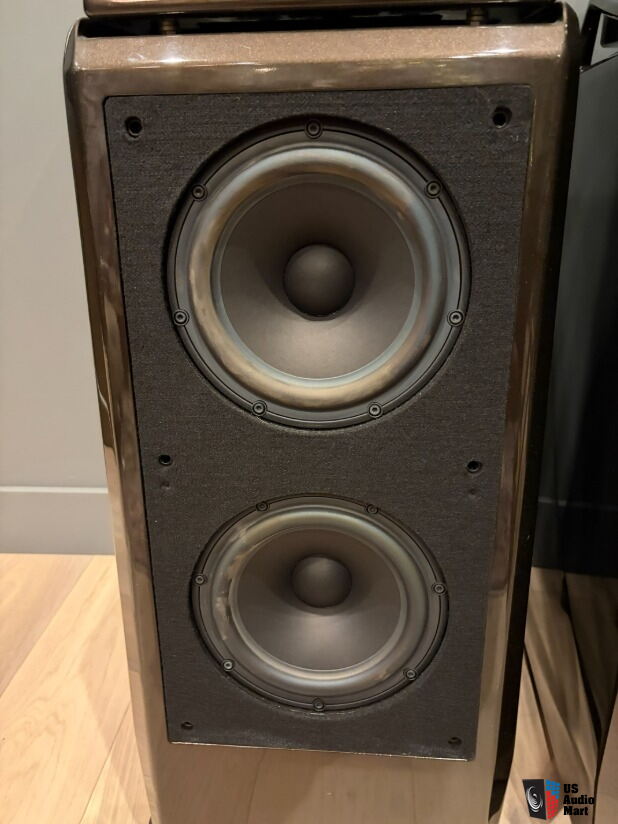 Wilson Sasha DAW Loudspeakers Photo #5963898 - US Audio Mart