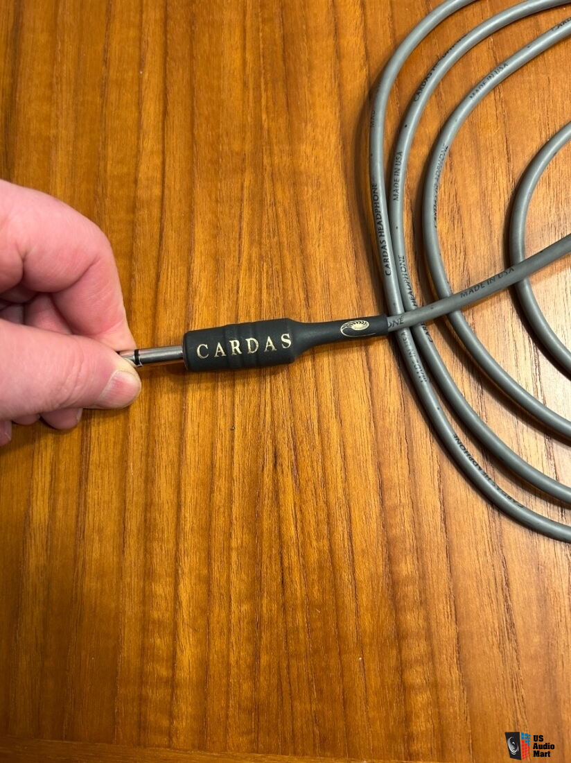 Sennheiser HD600 headphones with Cardas headphone cables Photo #5971226 ...