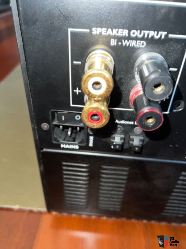 Audionet MAX mono block Photo #5984157 - US Audio Mart
