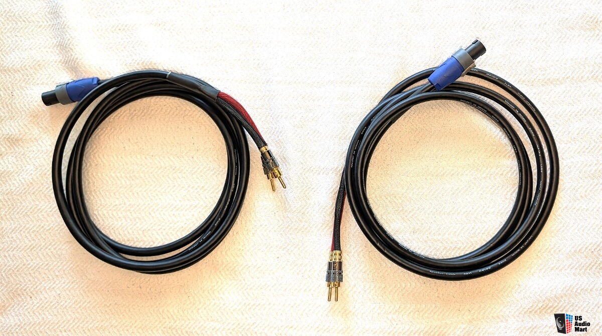 Benchmark Speaker Cable - NL2 to Banana - 2 pole 10ft pair For Sale ...