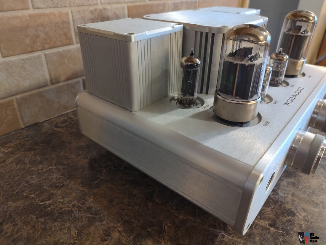 Woo Audio WA2 OTL amp with $500 in NOS tubes Photo #5986637 - US Audio Mart
