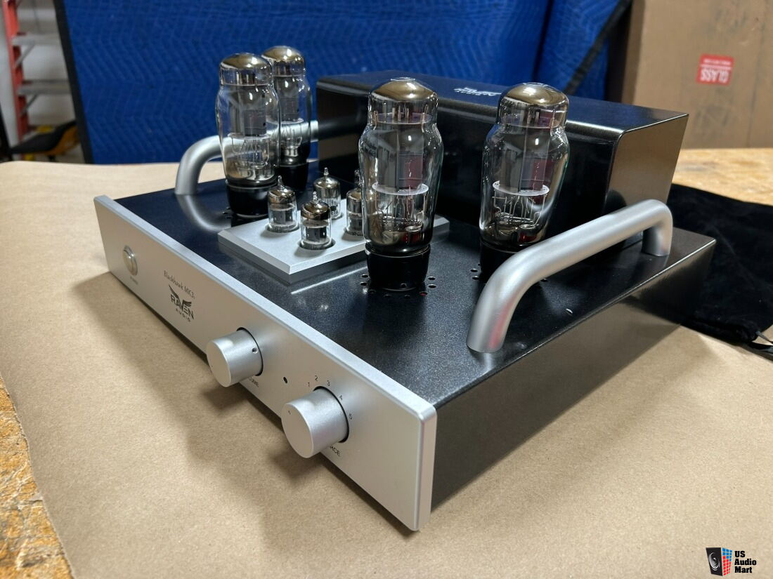 Raven Audio Blackhawk MK 3.1 Photo #5995620 - US Audio Mart