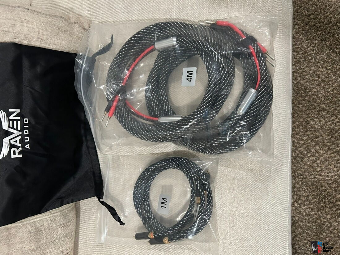 Raven Audio Blackhawk MK 3.1 Photo #5995622 - US Audio Mart