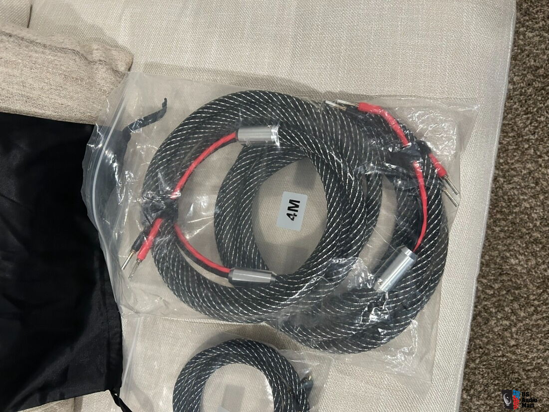 Raven Audio Blackhawk MK 3.1 Photo #5995623 - US Audio Mart