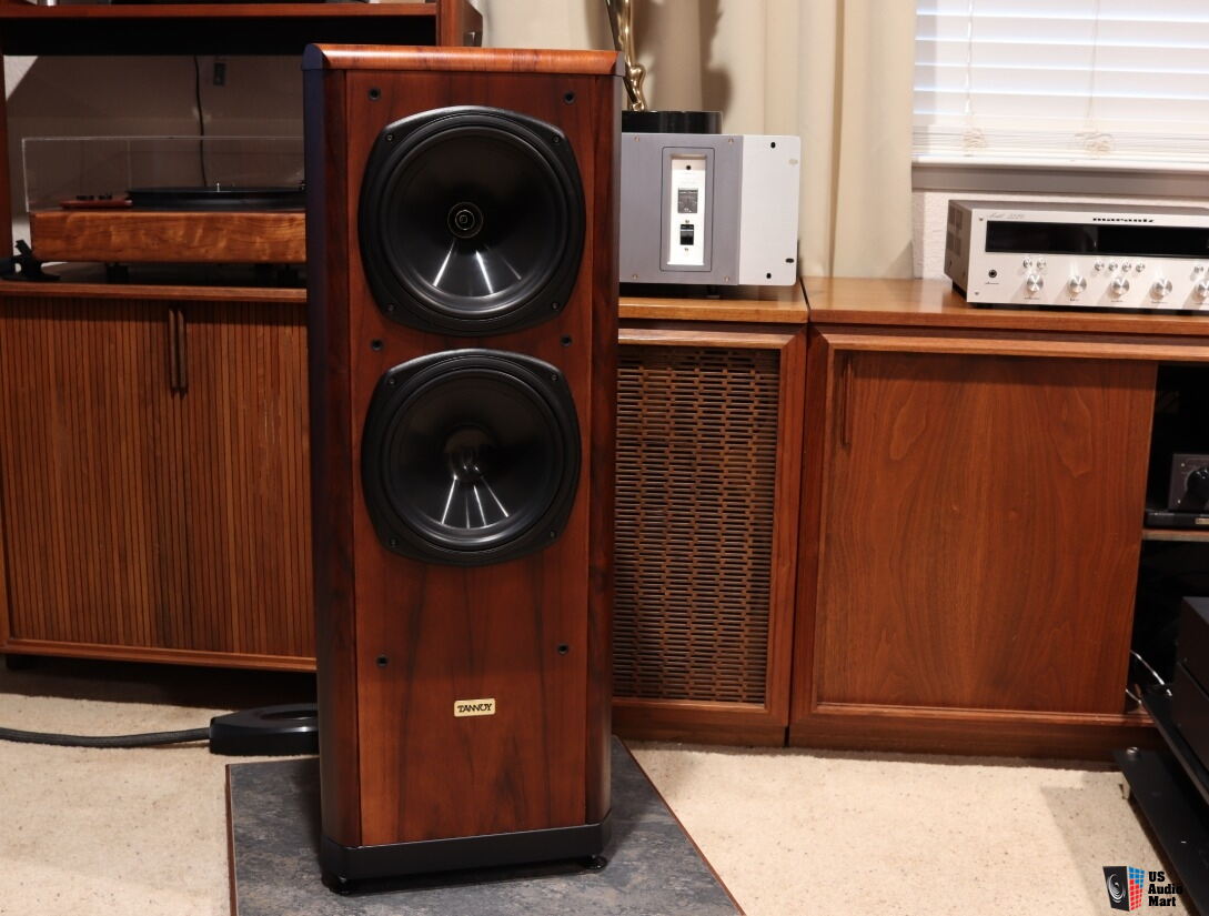 Tannoy D700 Stereo Tower Speakers Photo #5996176 - US Audio Mart